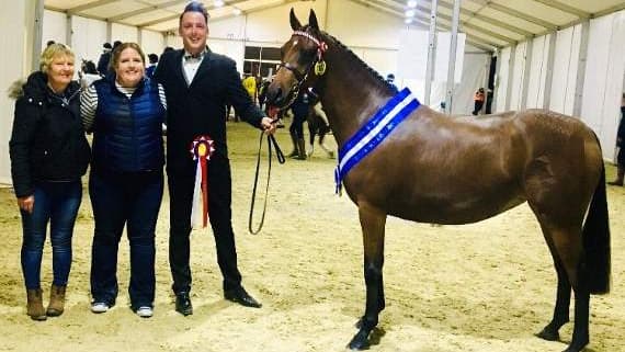 Lucky ‘Lily’ lands Horse of the Year Show title 25 years after her ...