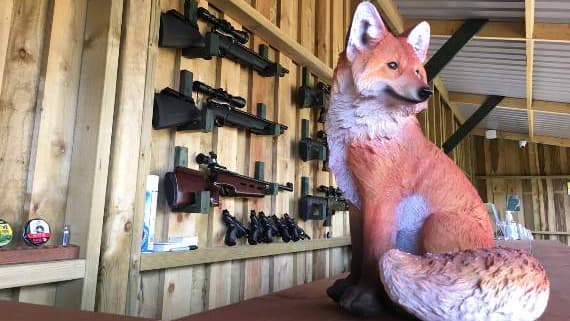 FOXCOMBE AIR RIFLE AND PISTOL SHOOTING RANGE | pembroke-today.co.uk