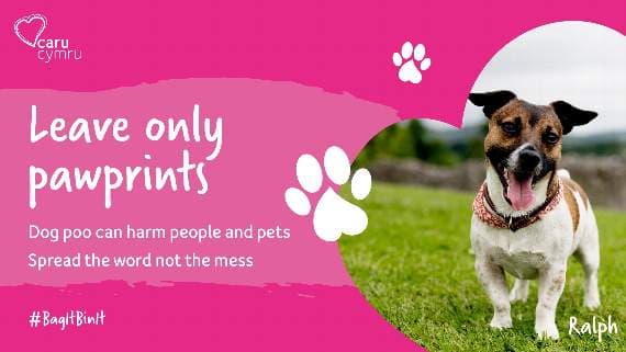 New campaign calls on dog owners to do the right thing and pick up ...