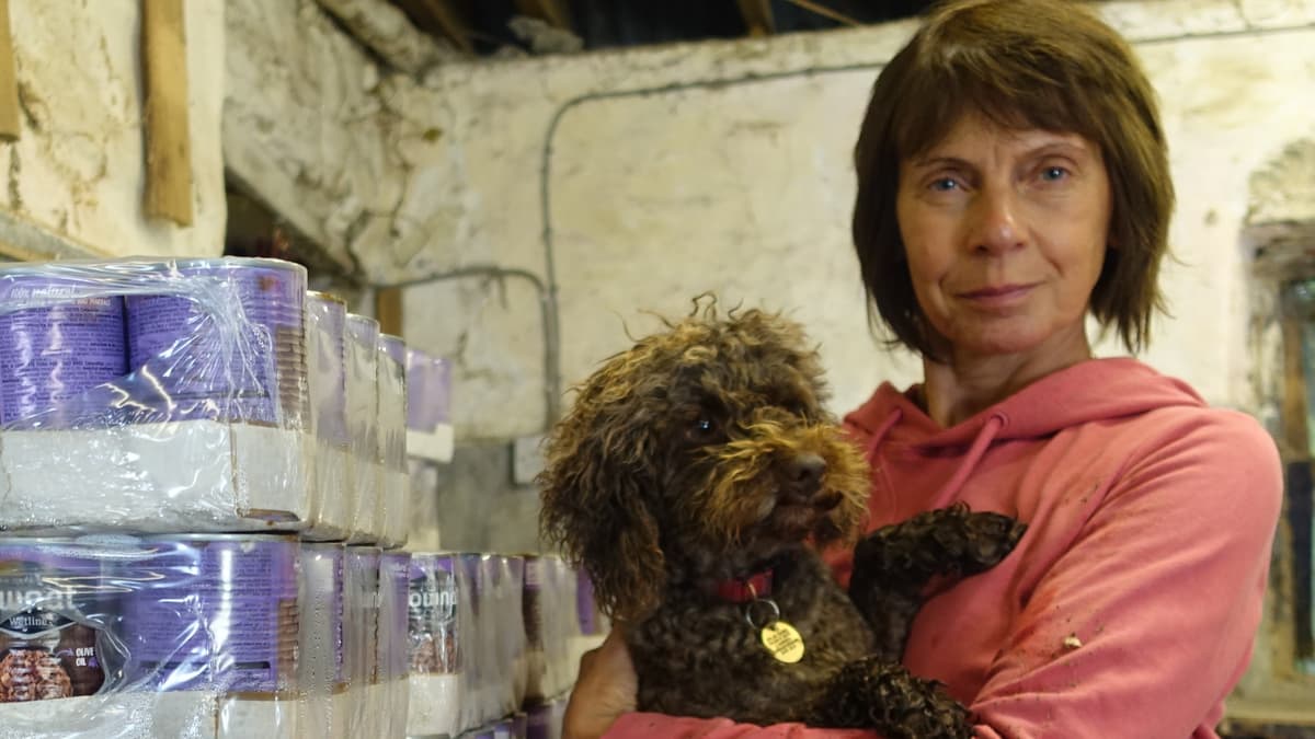 RSPCA branches in Wales distribute 49,000 servings of pet food to banks ...