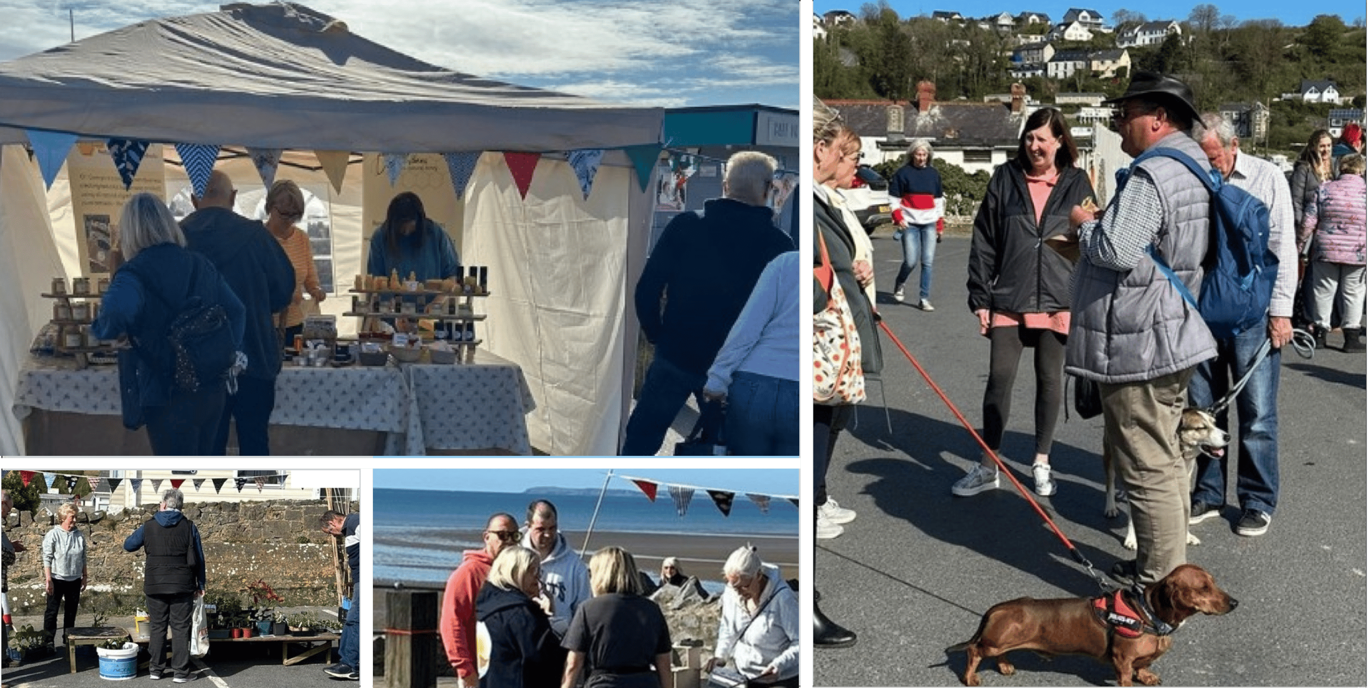 Pendine Produce Market hailed as a success | pembroke-today.co.uk