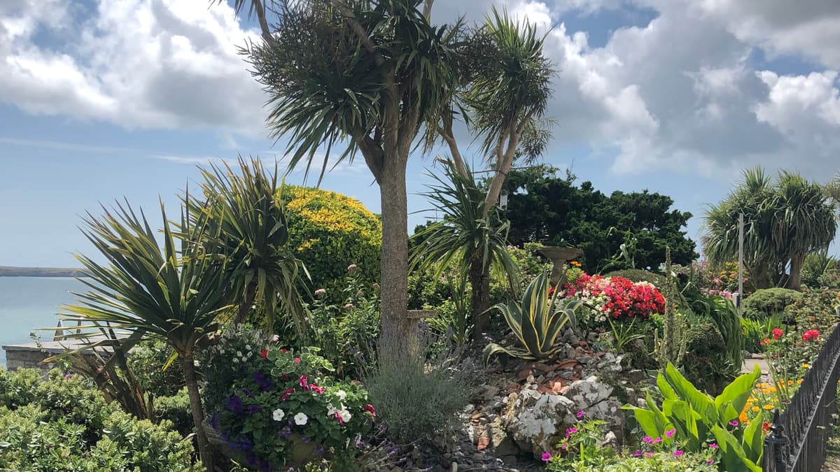 Tenby in Bloom is back to brighten up the seaside town! | pembroke ...