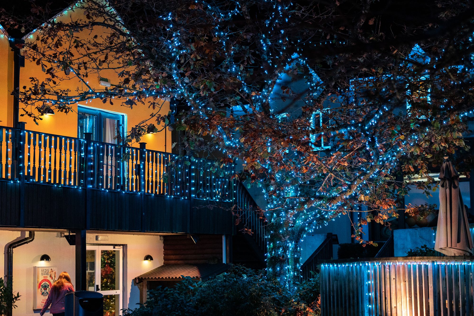 Bluestone Resort Kingdom of the Elves returns for Christmas 2024 ...