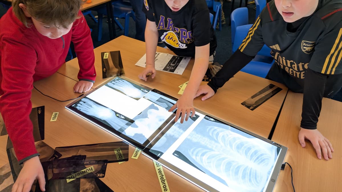 Pembrokeshire pupils dive into anatomy at Darwin Experience Workshop ...
