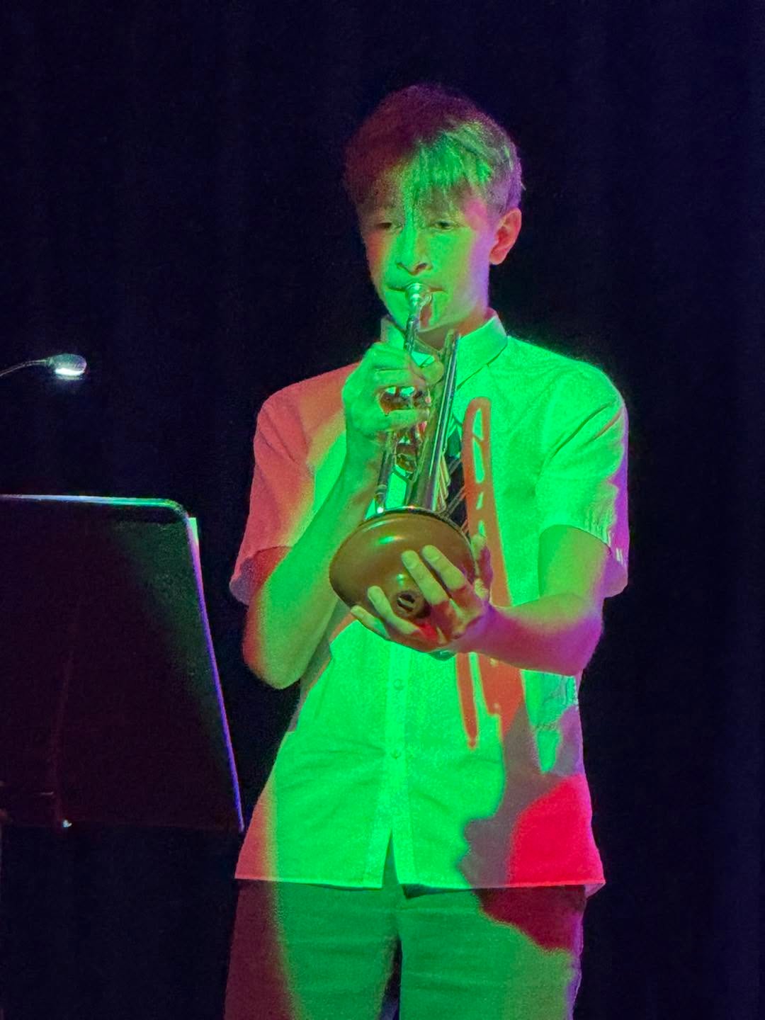 Greenhill School’s Arts Evening a resounding success | pembroke-today.co.uk